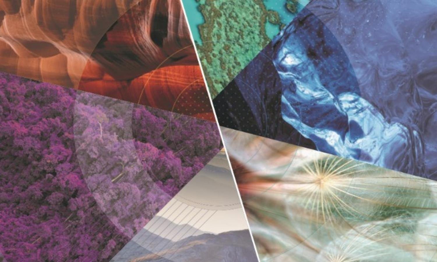 The Spread of Quantum Resistance and Denial Disorder (QRDD)