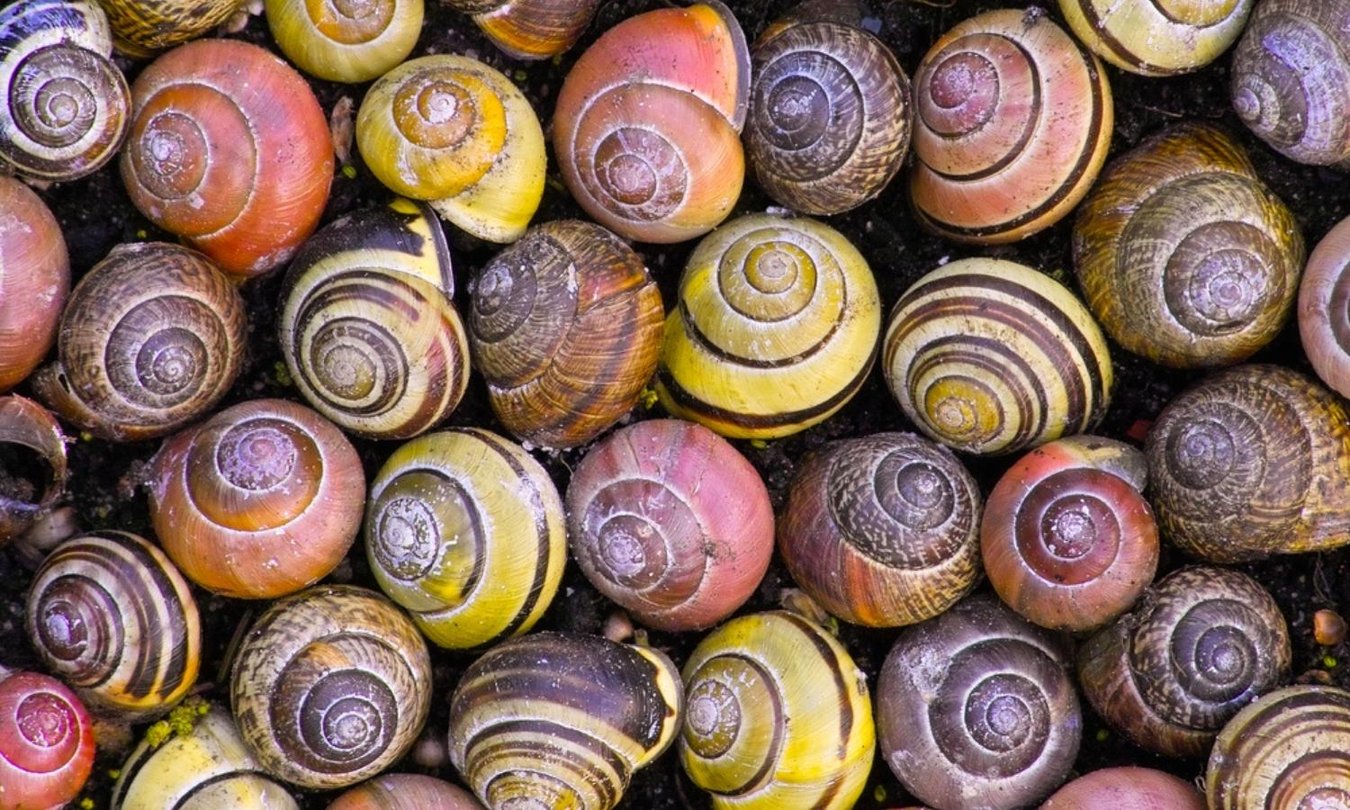 Breaking RSA Encryption - an Update on the State-of-the-Art ...